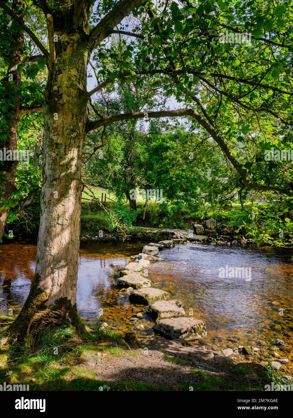 Stepping stones forming part of the Hawkswick Head Lane (path) across ...