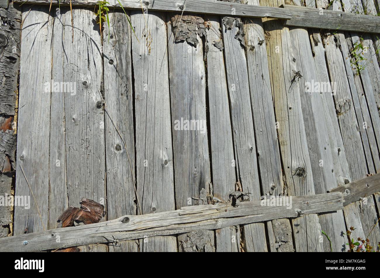Old wooden fence made of very damaged boards Stock Photo - Alamy