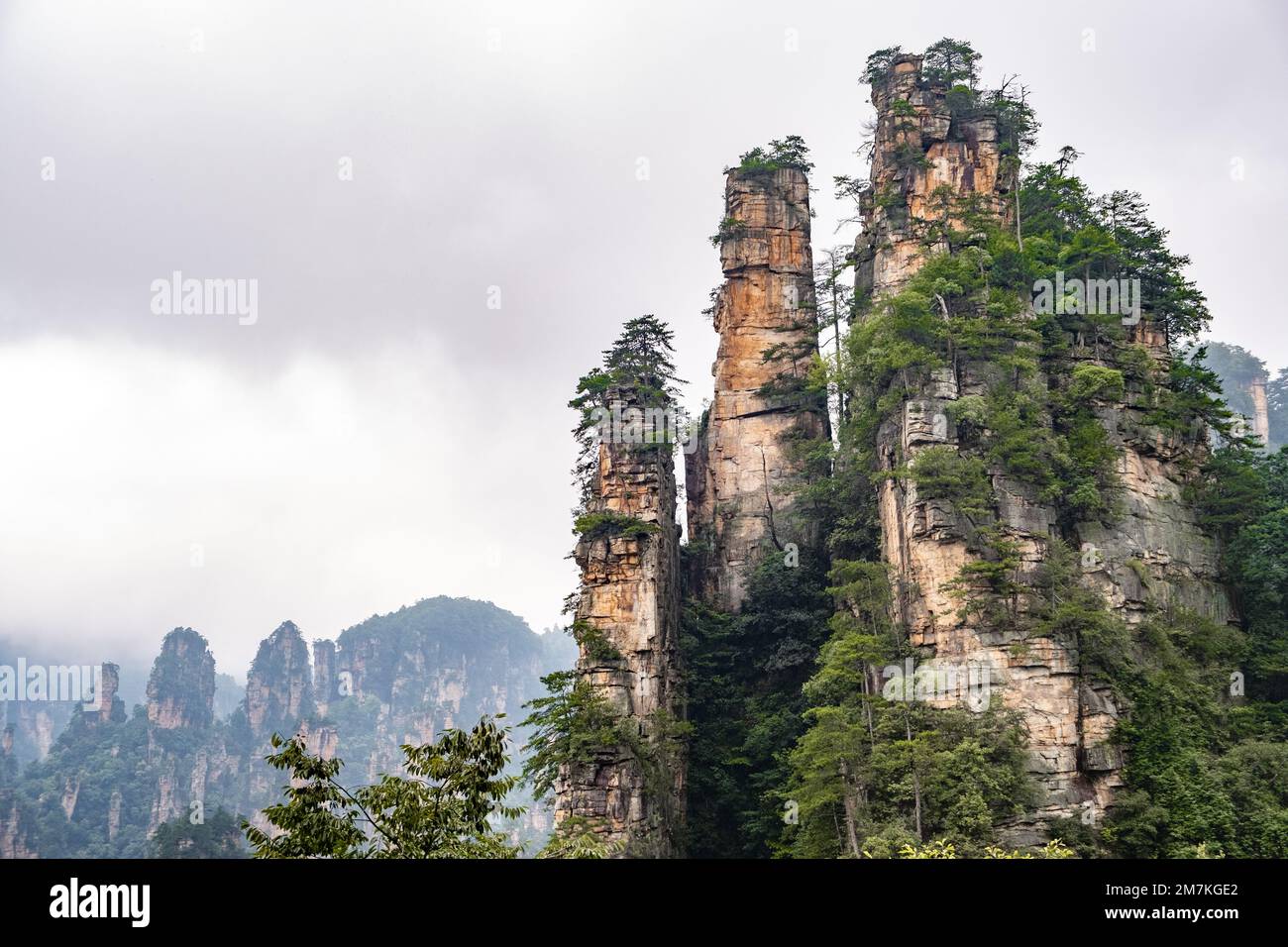 Zhangjiajie Forest Park. Unique strange-shaped pillar rocks raising ...