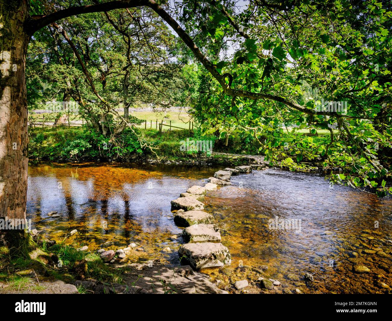 Stepping stones forming part of the Hawkswick Head Lane (path) across ...