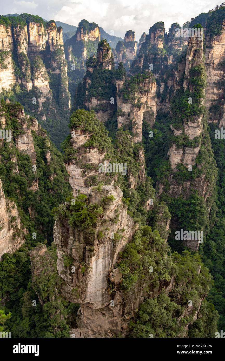 Zhangjiajie Forest Park. Unique strange-shaped pillar rocks, hidden ...