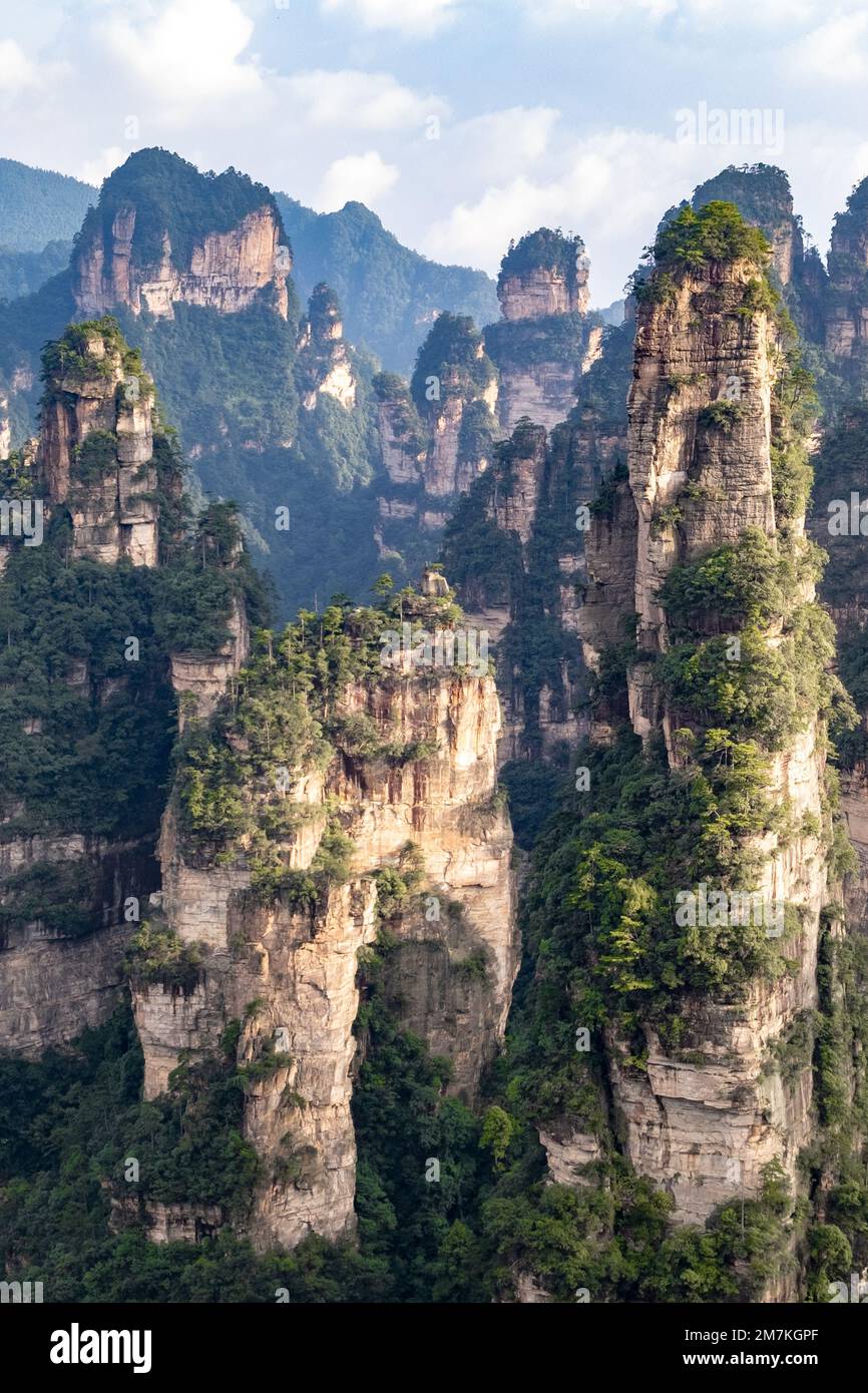 Zhangjiajie Forest Park. Majestic landscape scenery of unique strange ...