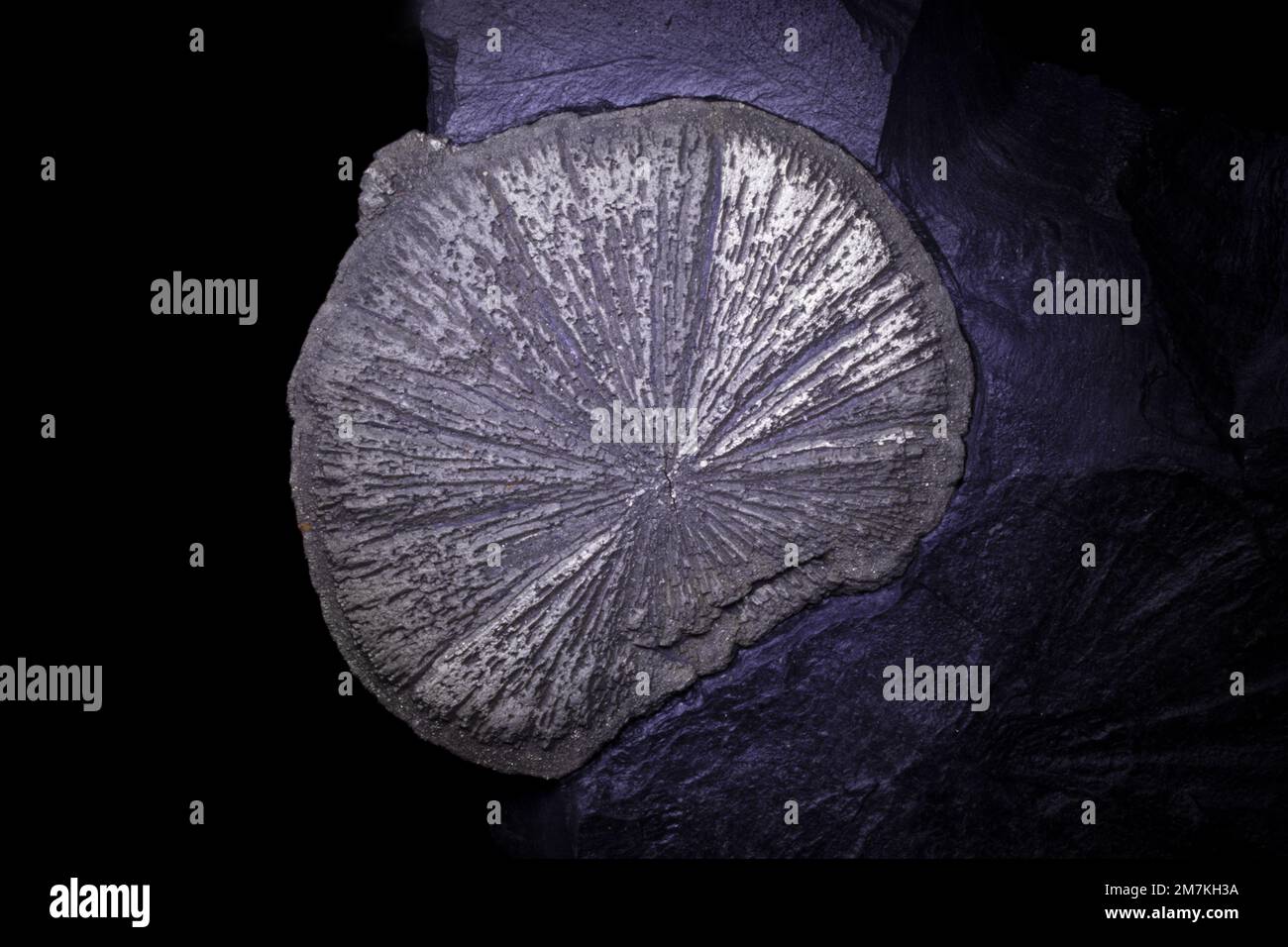 rocks and minerals, Marcassite Pyrite iron ore, laboratory sample Stock ...