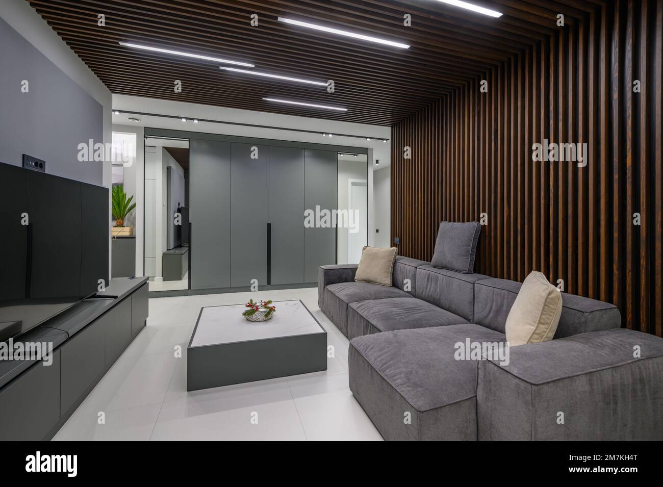 Luxury living room and hall in studio apartment Stock Photo - Alamy