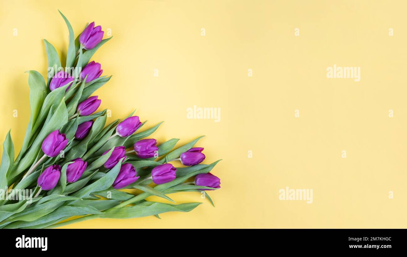 Beautiful romantic bouquet of pink tulips on the yellow background ...
