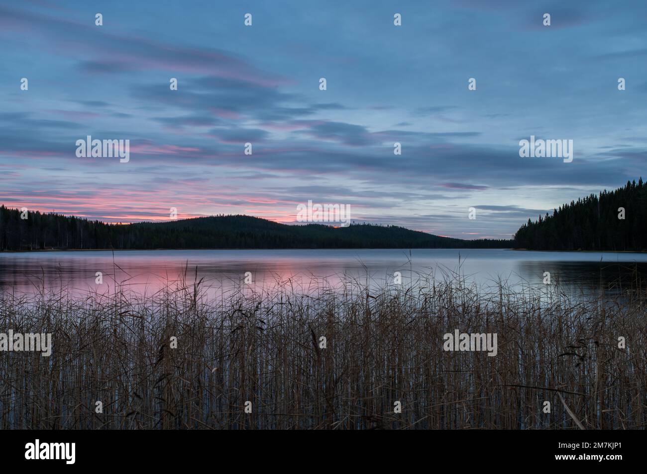 A calm lake surrounded by the forest and hills with the pink sunset in ...