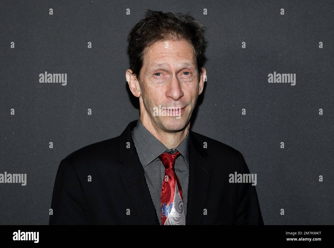 Tim Blake Nelson attends the MoMA Film Benefit honoring Guillermo del ...