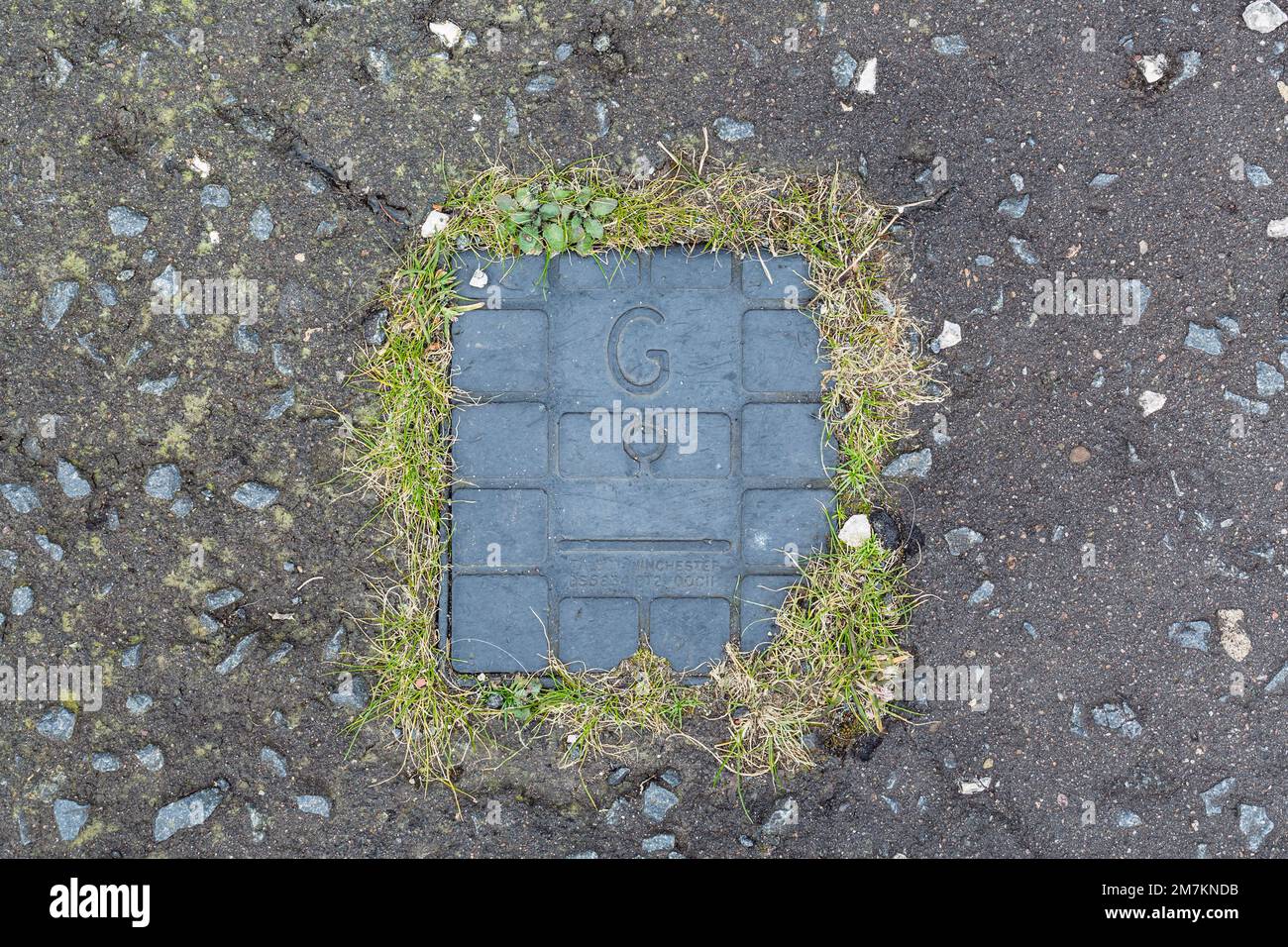 Weeds growing around a gas utility box on a pavement, Scotland, UK ...
