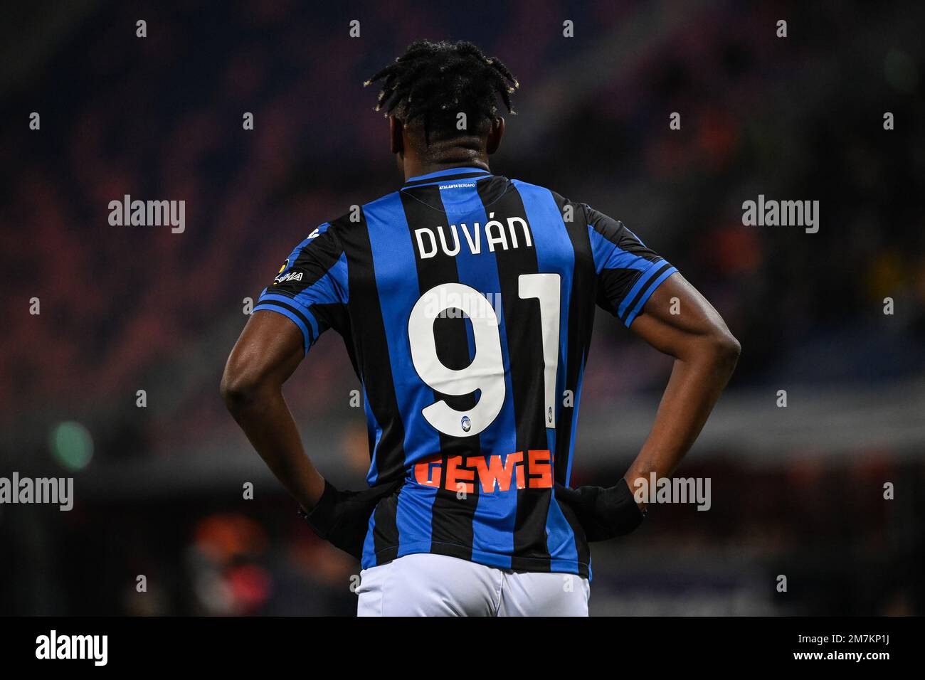 Bologna duvan hi-res stock photography and images - Alamy