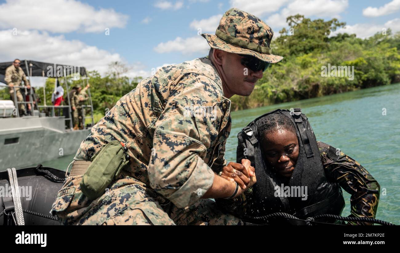 Usmc Force Recon Training