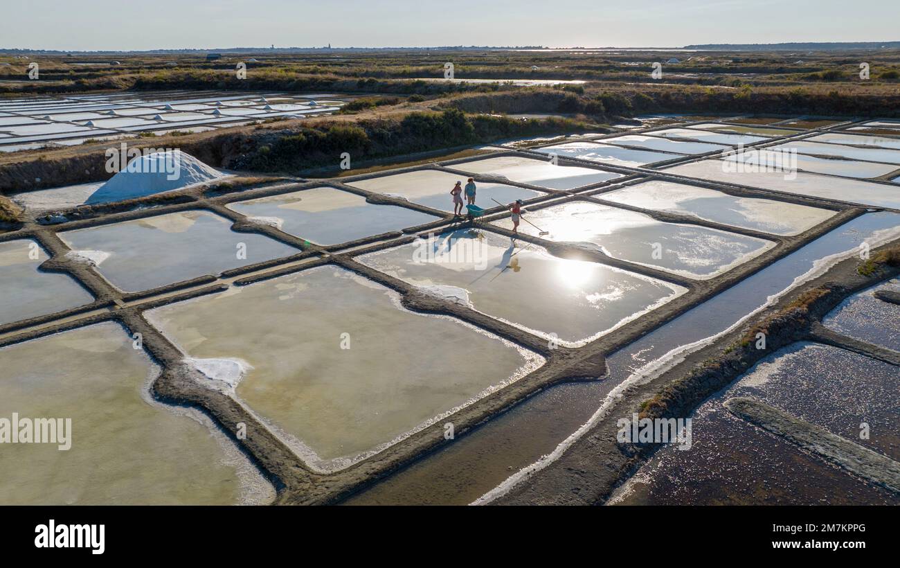 Aerial view of the salt marshes of Guerande in summer. Sunlight with ...