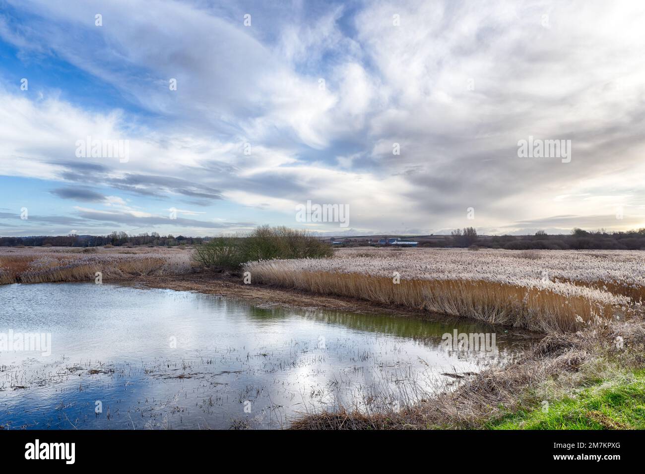 Rspb titchwell marsh norfolk hi-res stock photography and images - Alamy