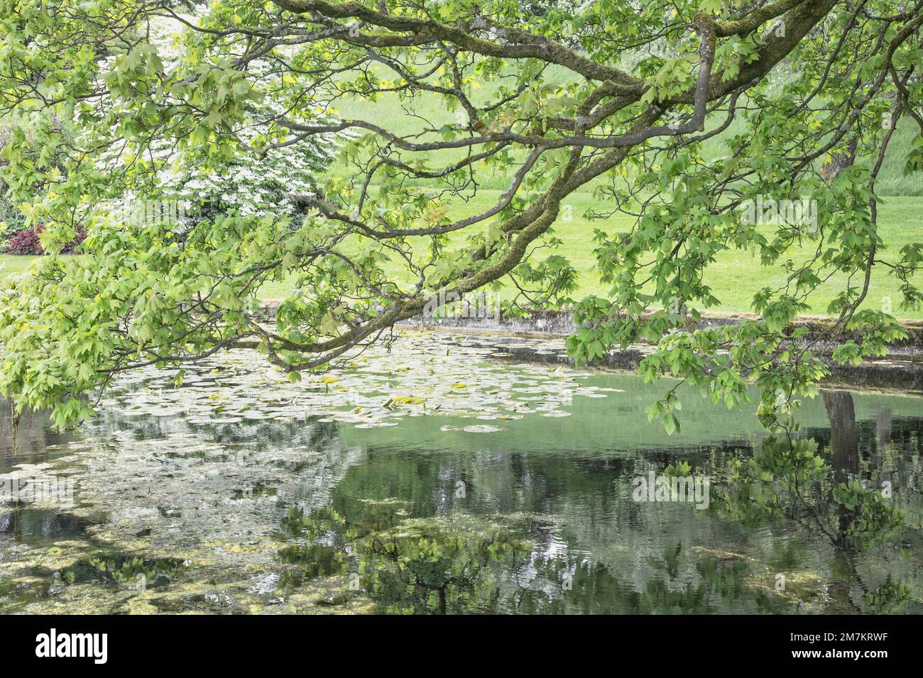 Sizergh castle lake in Cumbria England Stock Photo - Alamy