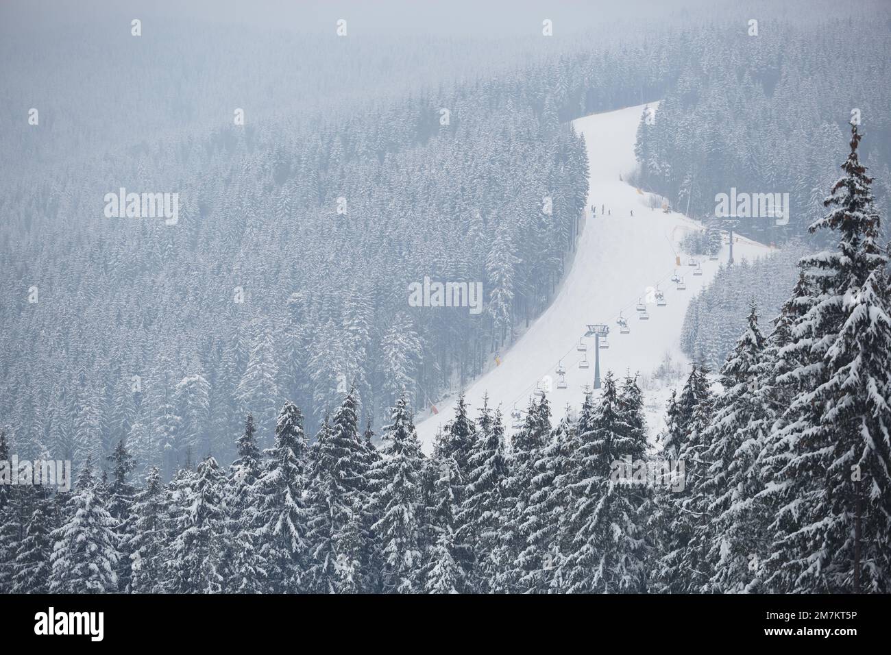 Ski park in Carpathian mountains. Ride on ski and snowboard in winter ...