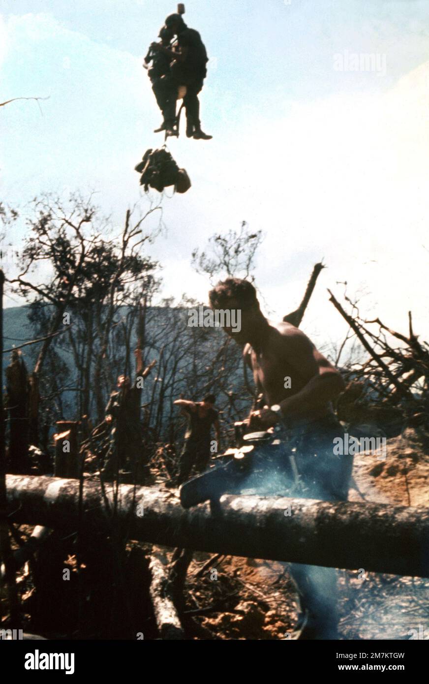 A member of the 3rd Marine Division uses a chain saw to cut up a tree ...