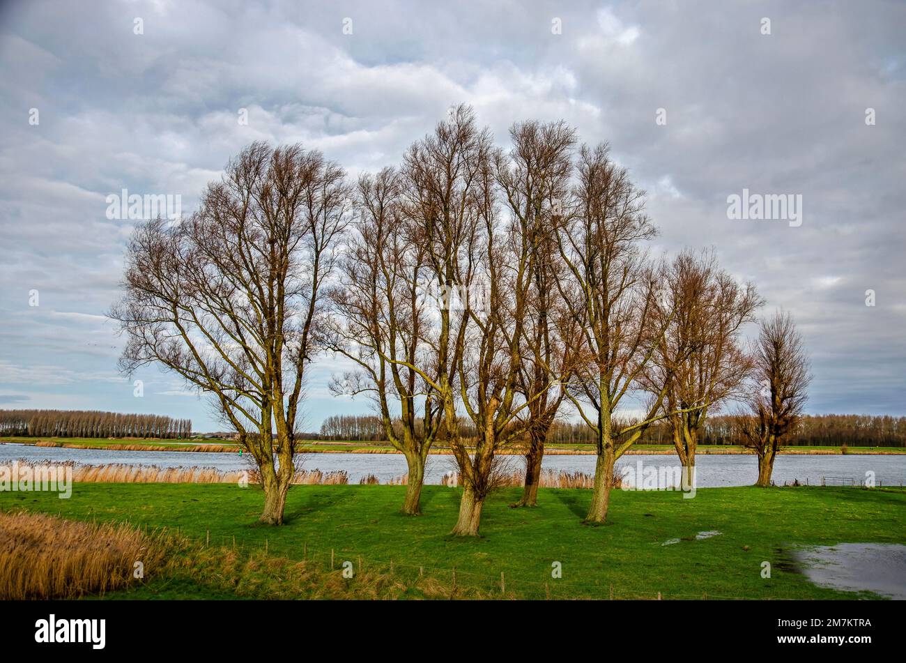 Hoeksche waard hi-res stock photography and images - Alamy
