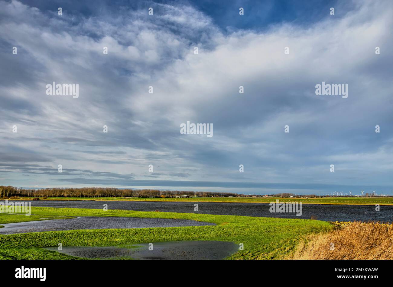 View from the island of Hoeksche Waard in the Netherlands towards the ...