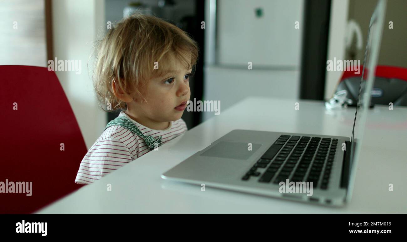 Little boy staring at laptop screen watching media. Baby child watches ...