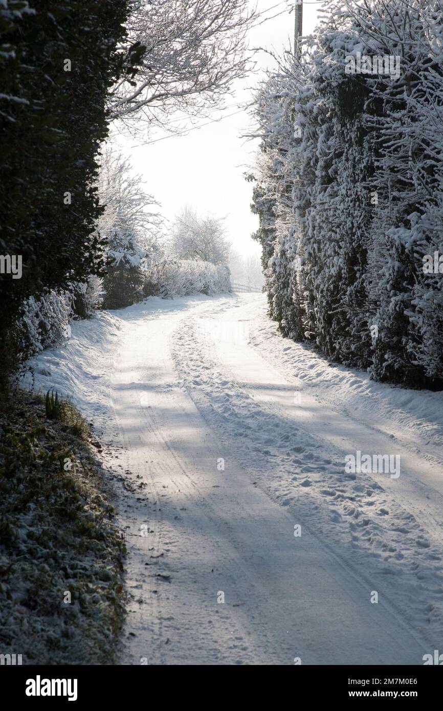 Suffolk snow covered lane Stock Photo - Alamy