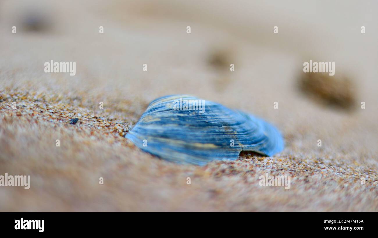 beach of constance Stock Photo - Alamy