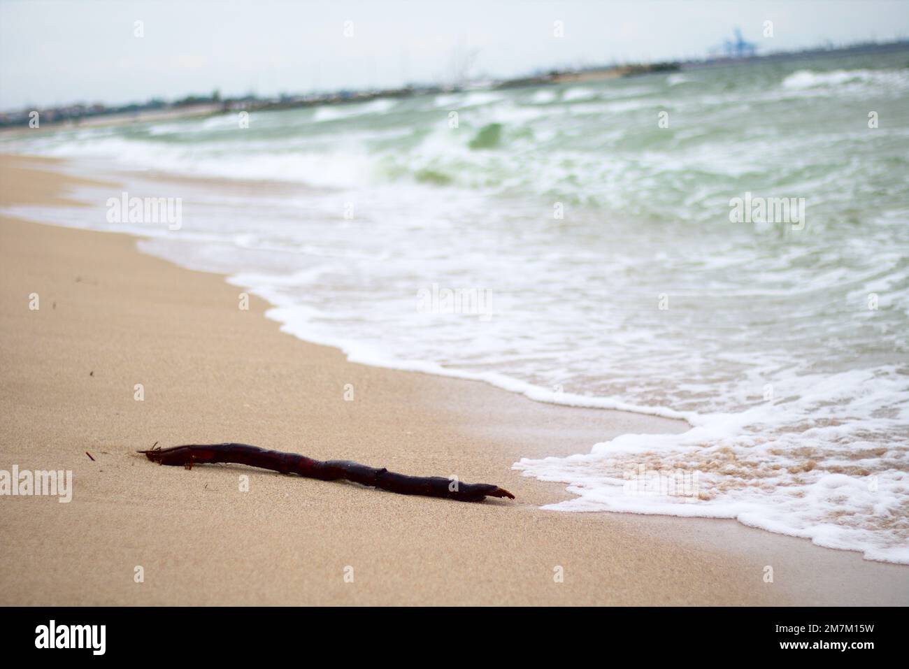 beach of constance Stock Photo - Alamy
