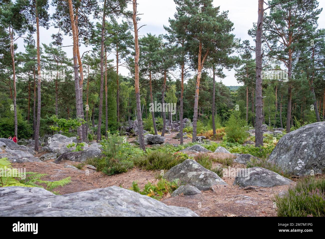 The forest of Fontainebleau, Cave of the Brigands, Bas-Breau, near ...