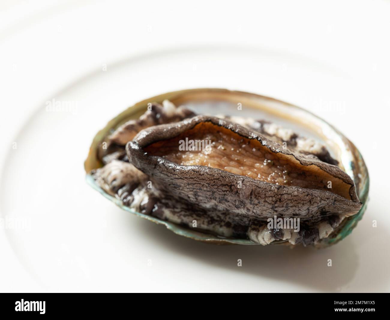 Abalone of the plate hi-res stock photography and images - Alamy
