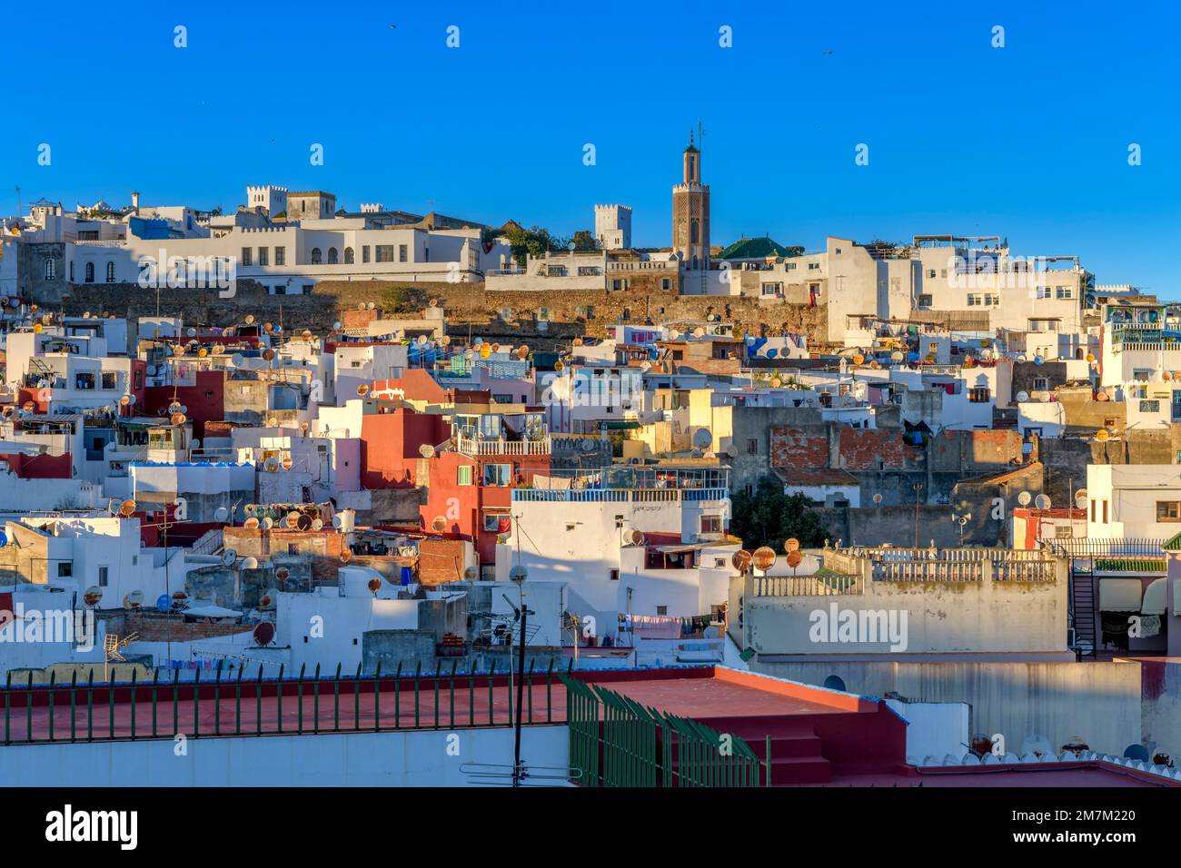 Tangier morocco garden hi-res stock photography and images - Alamy