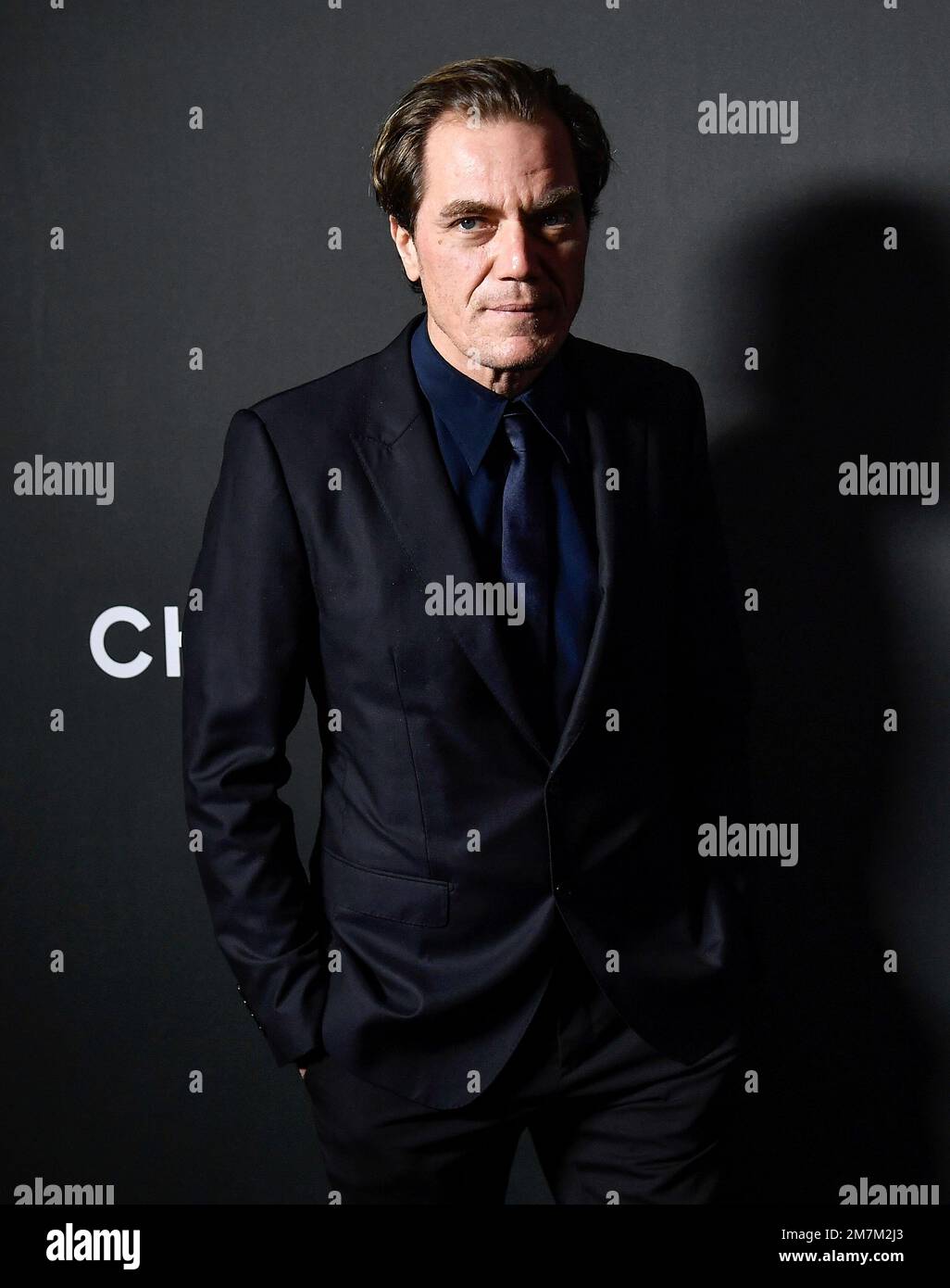 Michael Shannon attends the MoMA Film Benefit honoring Guillermo del ...