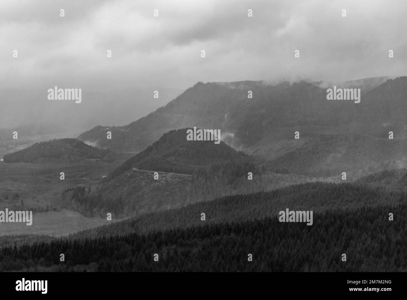 A grayscale of mountains and forests in Mount St. Helens Volcanic ...