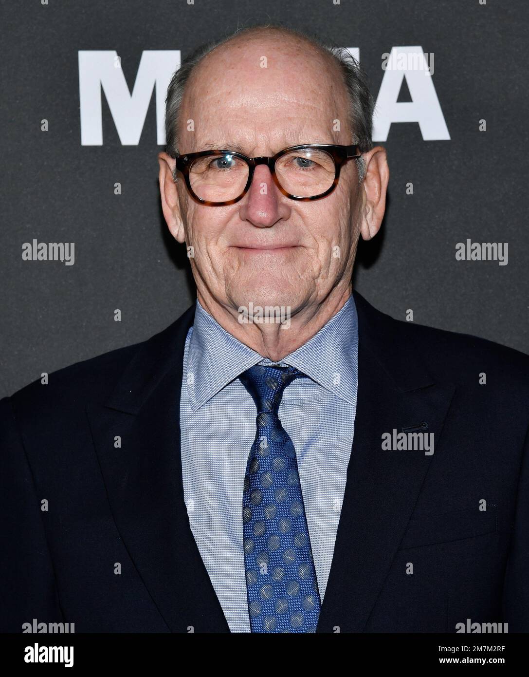 Richard Jenkins attends the MoMA Film Benefit honoring Guillermo del ...