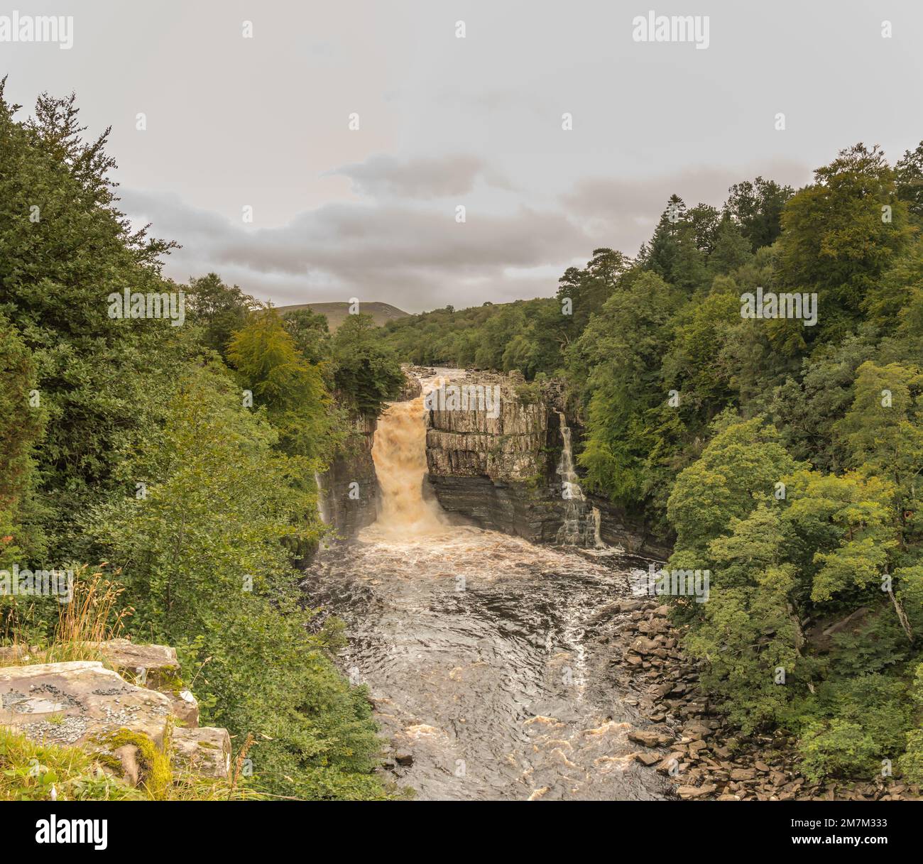 A swollen River Tees thunders over High Force waterfall on the morning ...