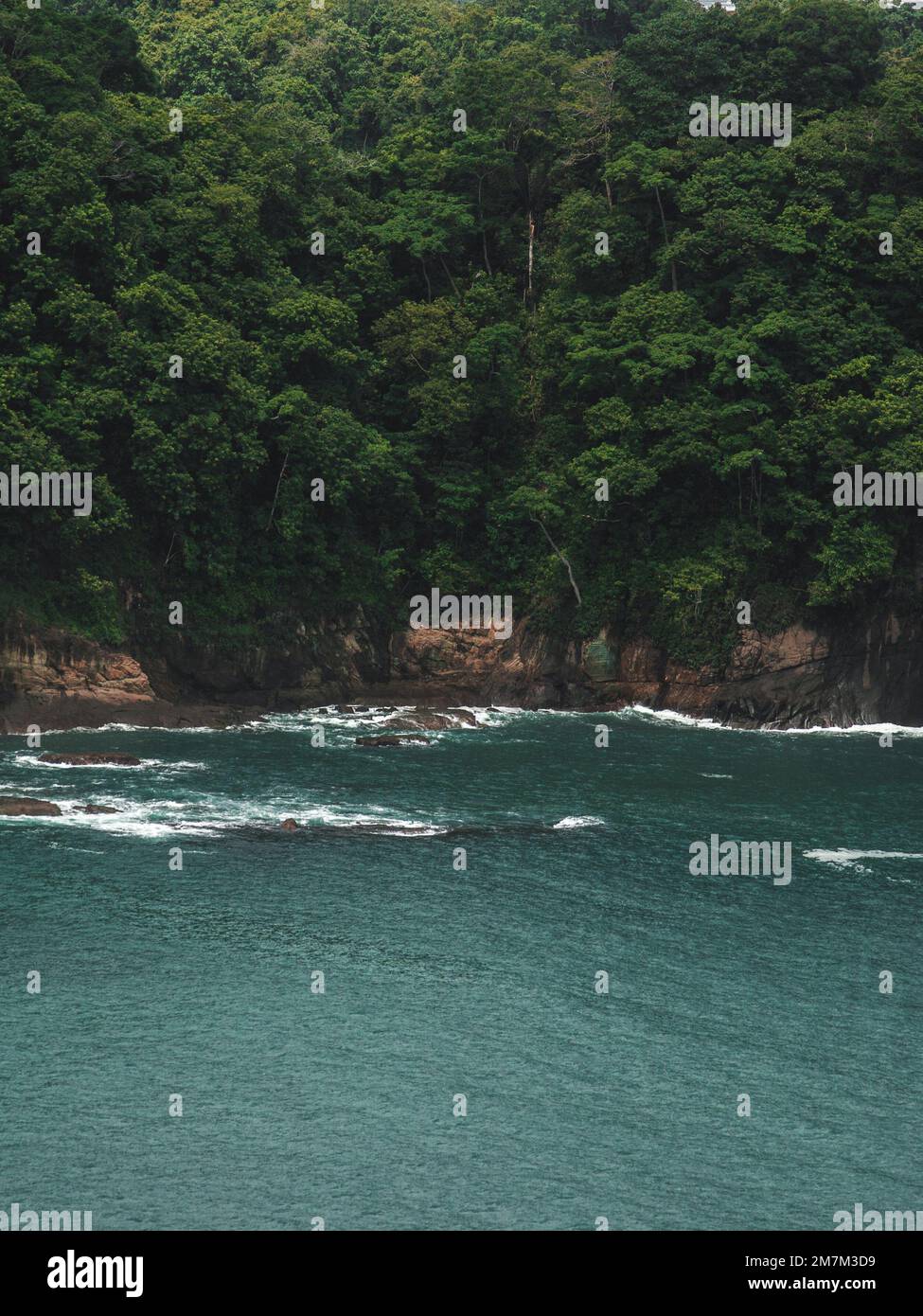 Jungle and sea hi-res stock photography and images - Alamy