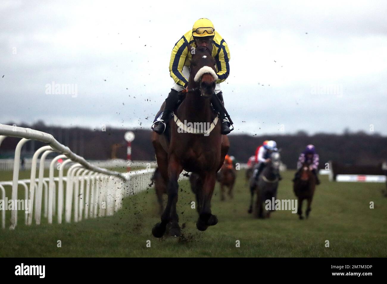 Willmount racecourse hi-res stock photography and images - Alamy