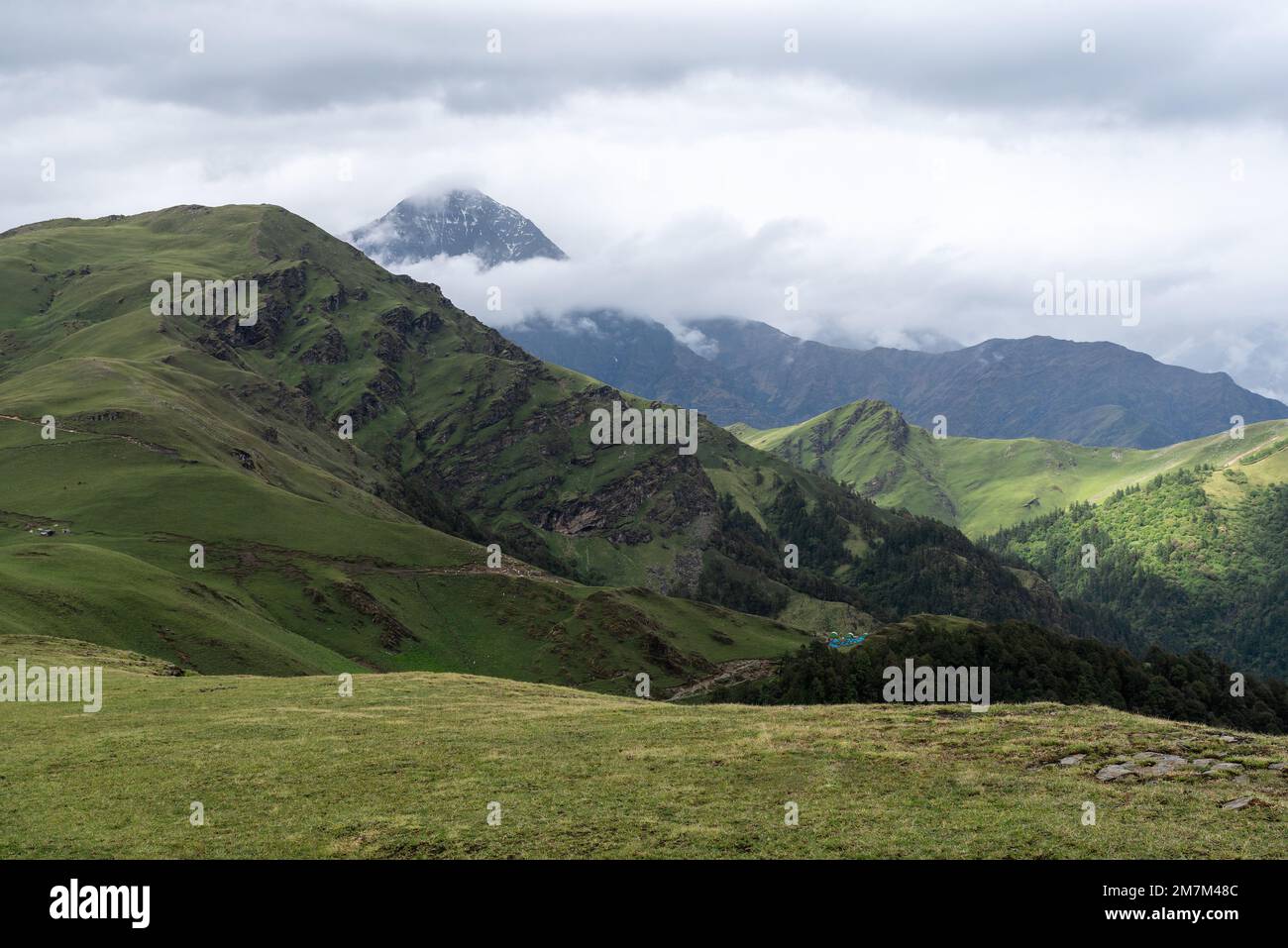 Landscape with mountains, meadows and pine forest Stock Photo - Alamy