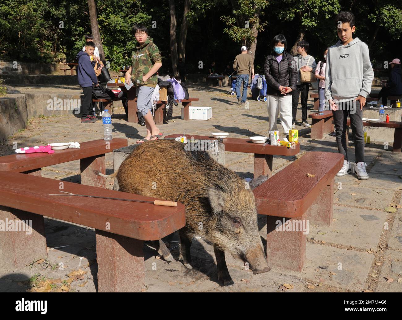 Agriculture, Fisheries and Conservation Department (AFCD) to expand the ...