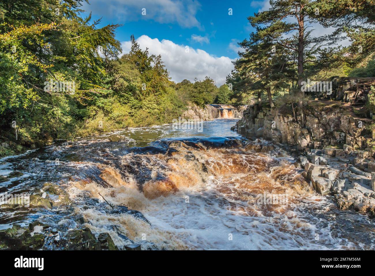 Low Force Waterfall on the River Tees, Upper Teesdale in strong early ...