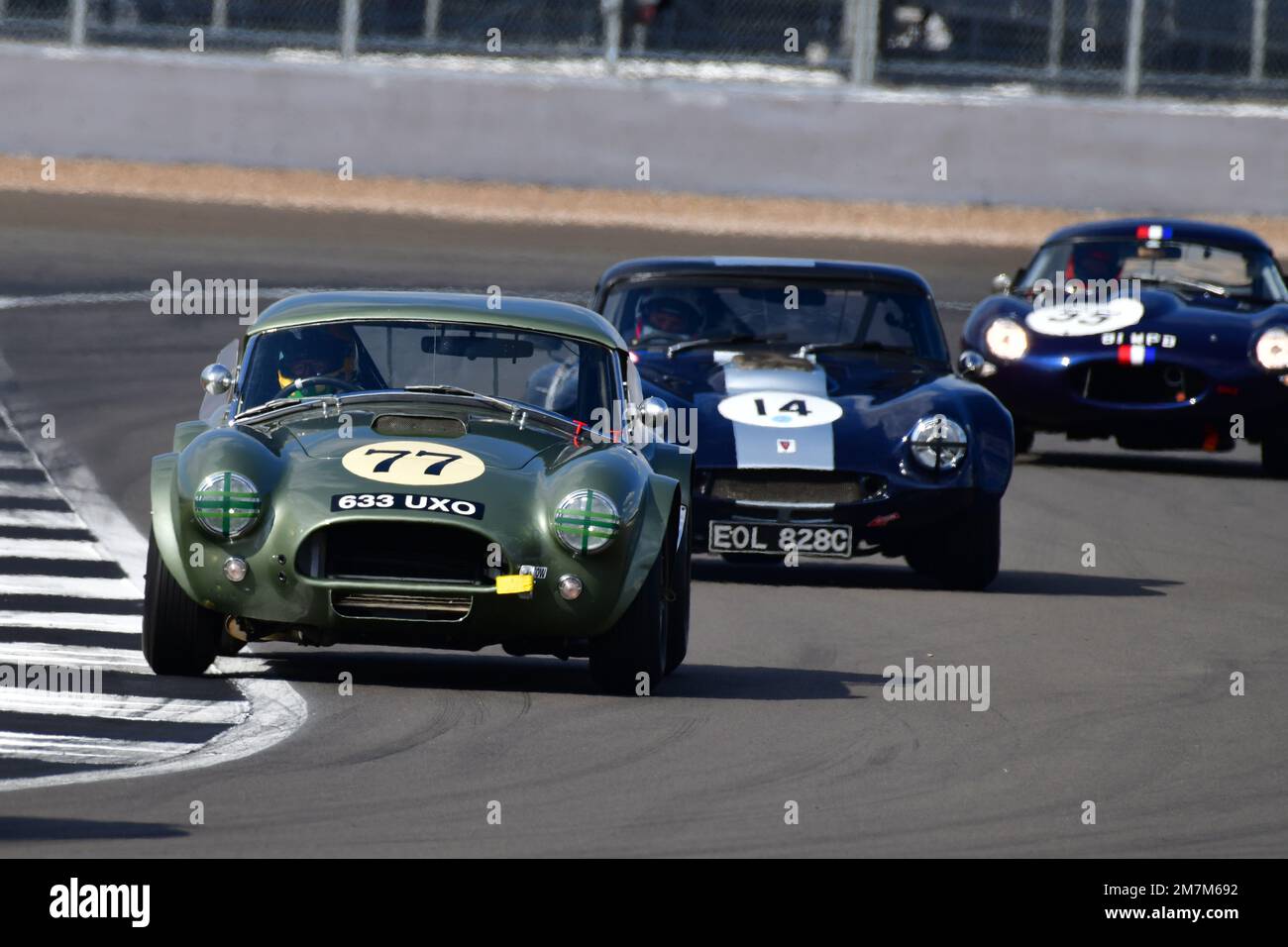 Andy Wolfe, Shelby American Cobra, Masters Historic Racing ...