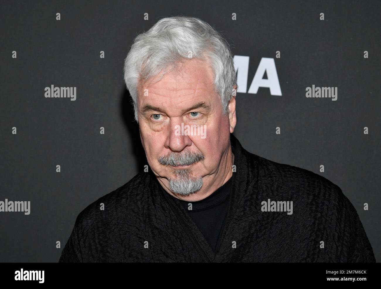 Jack Shear attends the MoMA Film Benefit honoring Guillermo del Toro ...