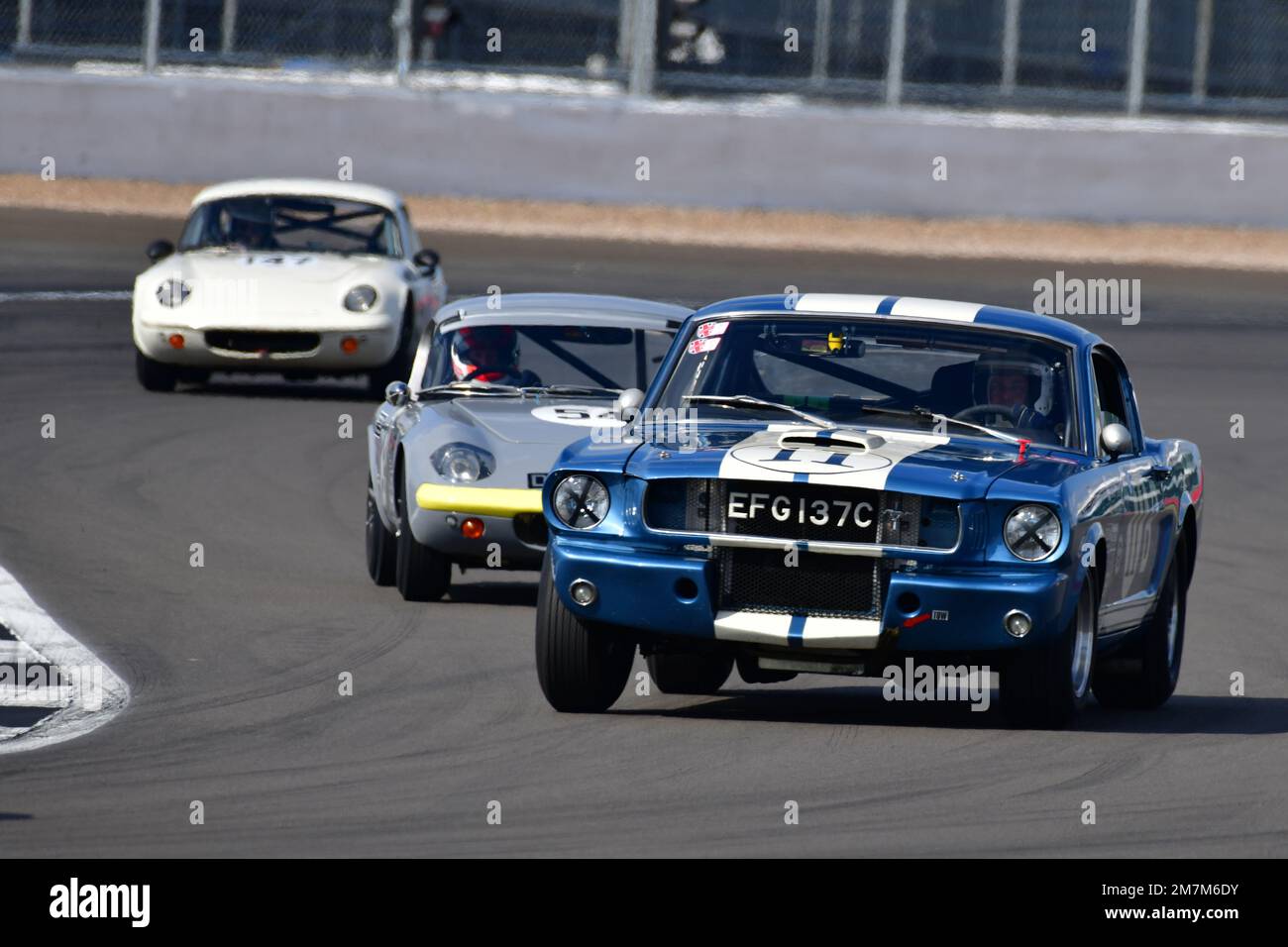 Larry Tucker, Paul Kennelly, Ford Shelby Mustang GT350, Masters ...
