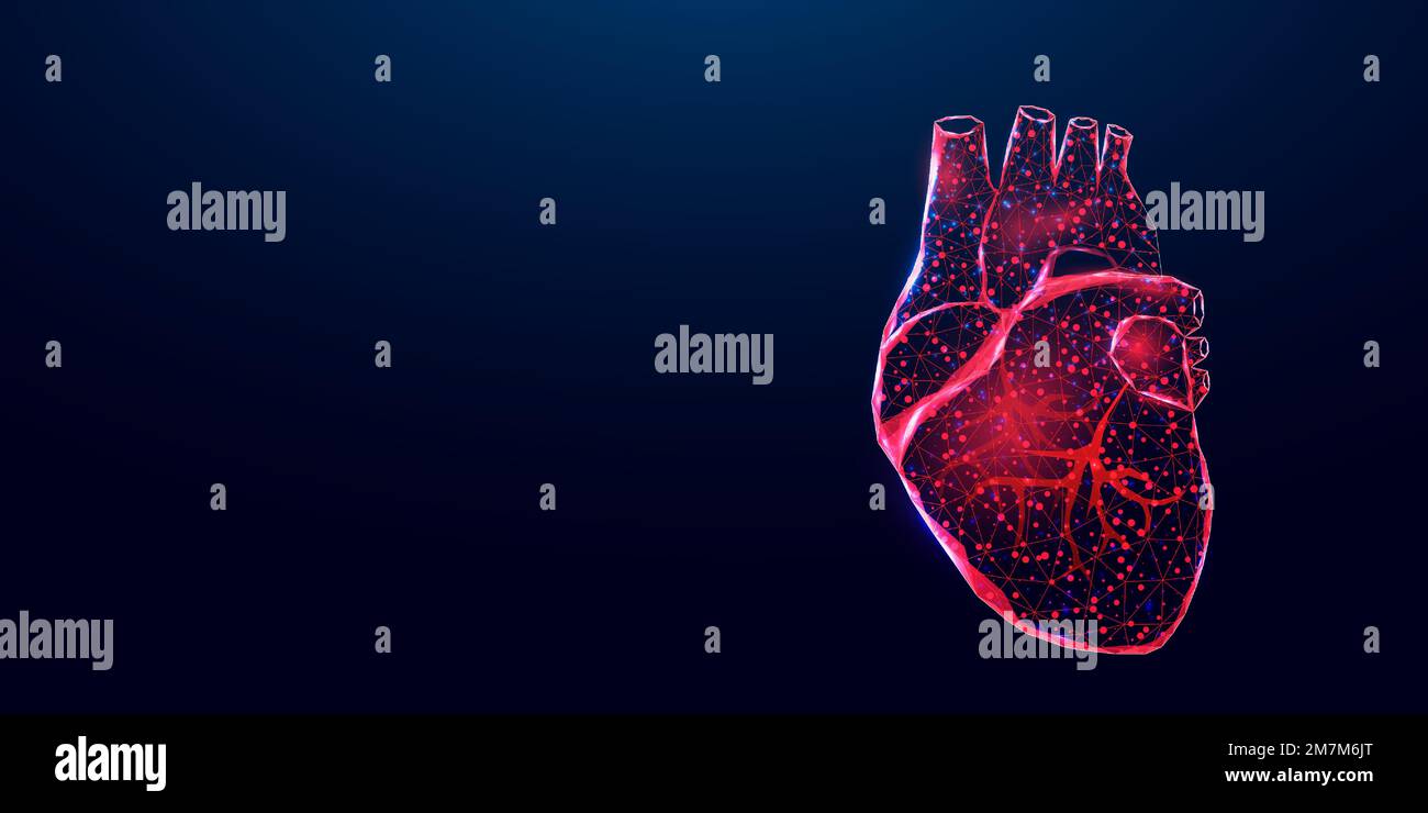Background Cardiology Concept What Is Cardiology? – Mthatha