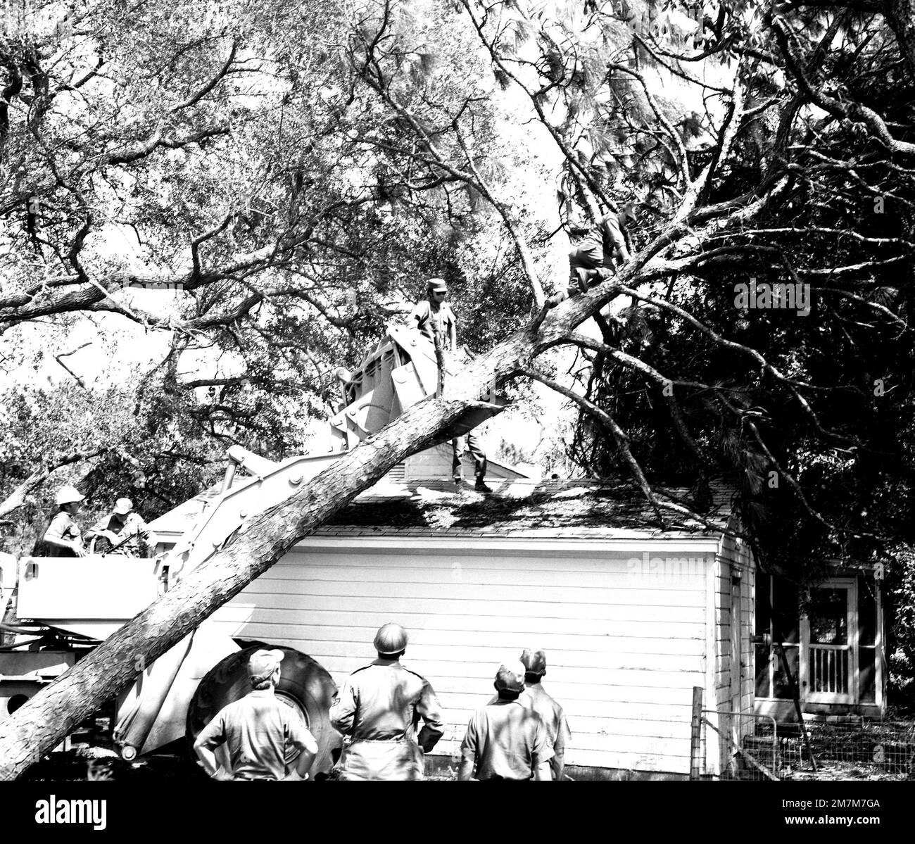 Red horse civil engineer Black and White Stock Photos & Images - Alamy