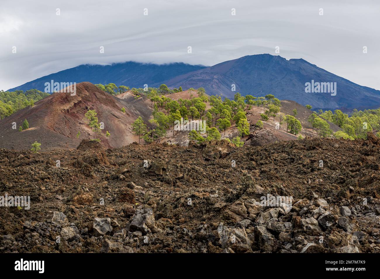 Well toned hi-res stock photography and images - Alamy