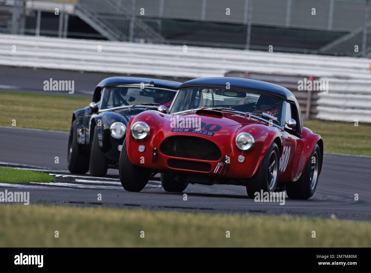 Ben Gill, Shelby American Cobra, Masters Historic Racing, International ...