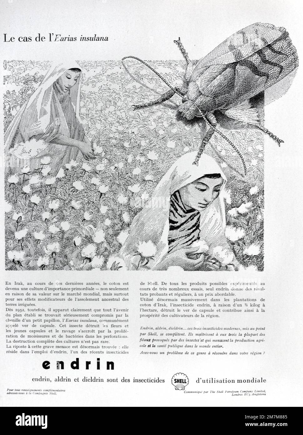 Old insecticide advertisement hi-res stock photography and images - Alamy