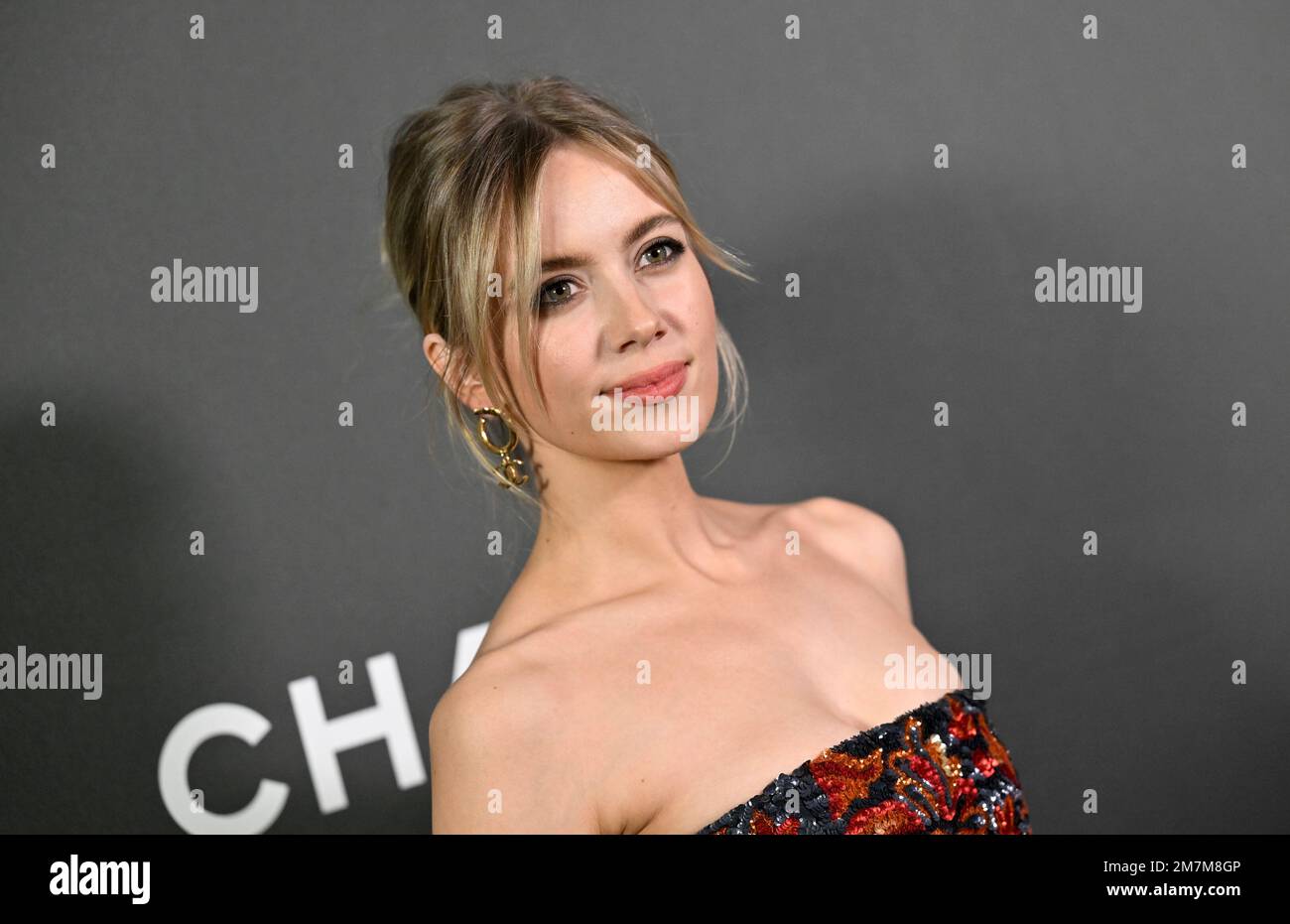 Artist Anna Weyant attends the MoMA Film Benefit honoring Guillermo del ...