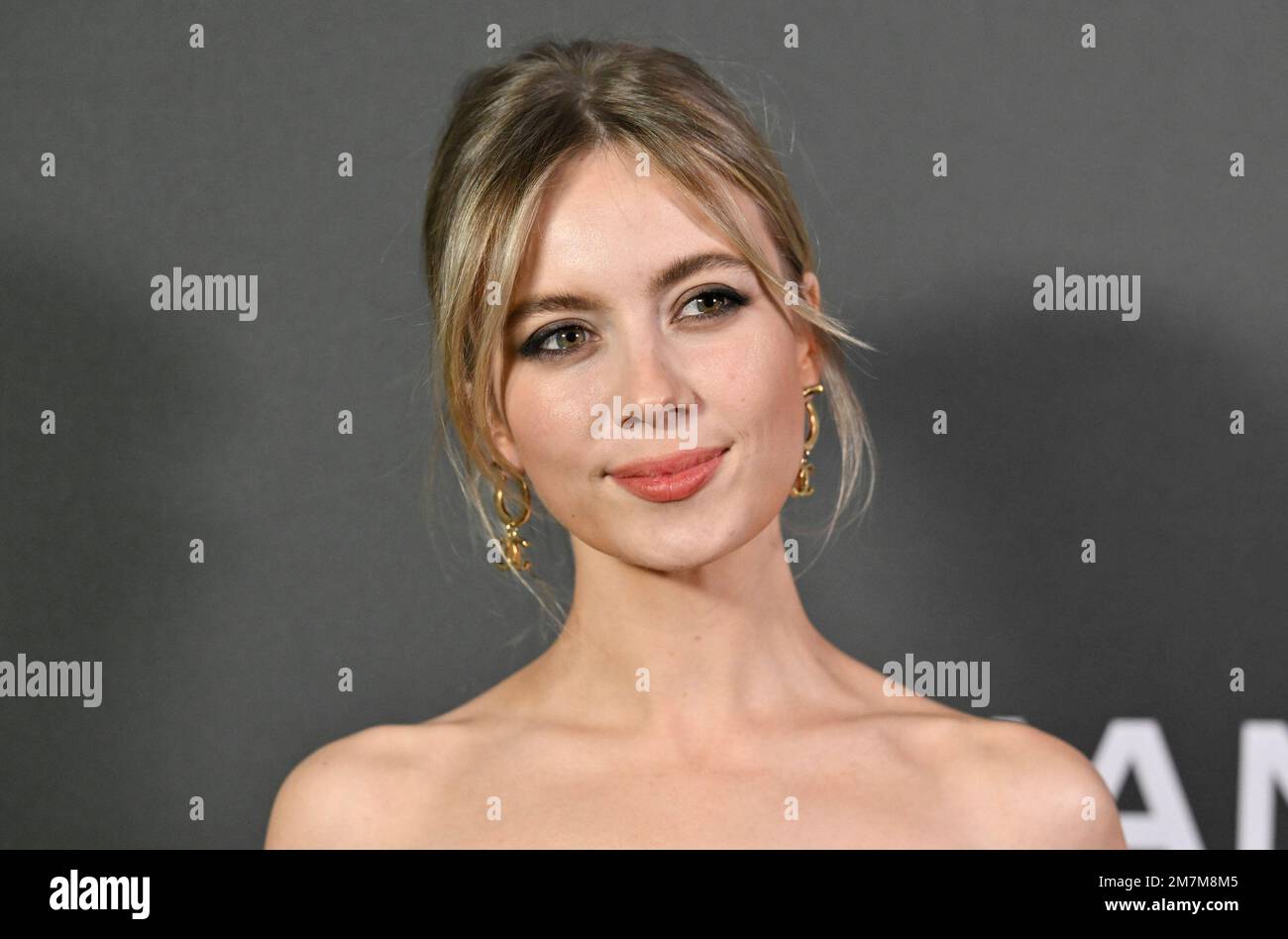 Artist Anna Weyant attends the MoMA Film Benefit honoring Guillermo del ...