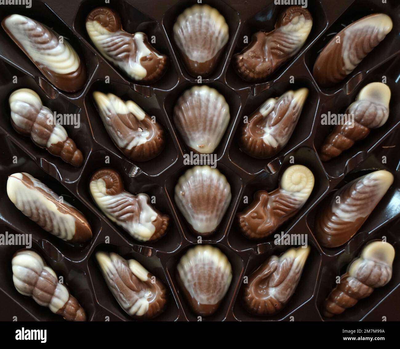 Belgian chocolate seashells hi-res stock photography and images - Alamy