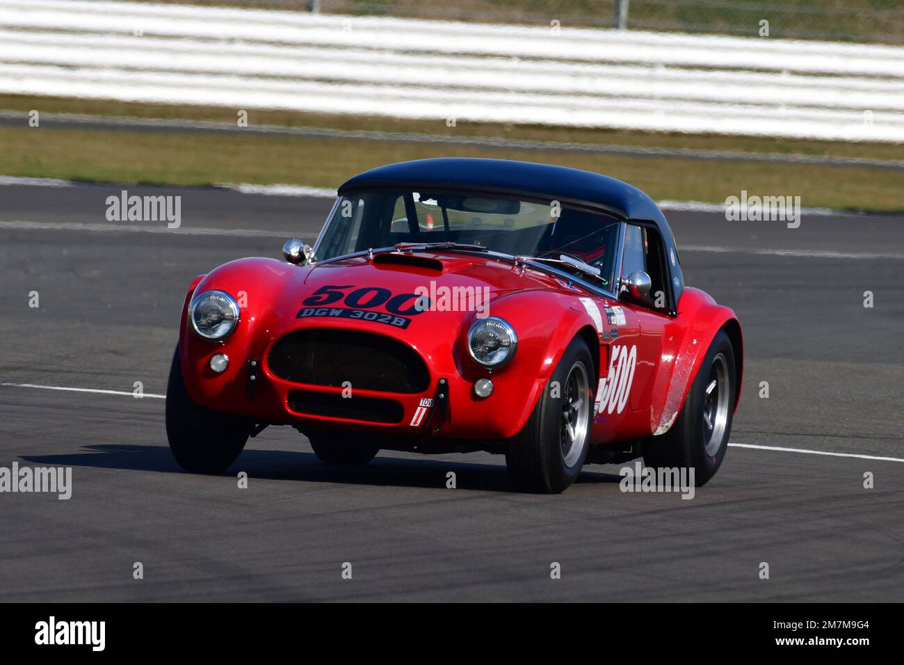 Ben Gill, Shelby American Cobra, Masters Historic Racing, International ...