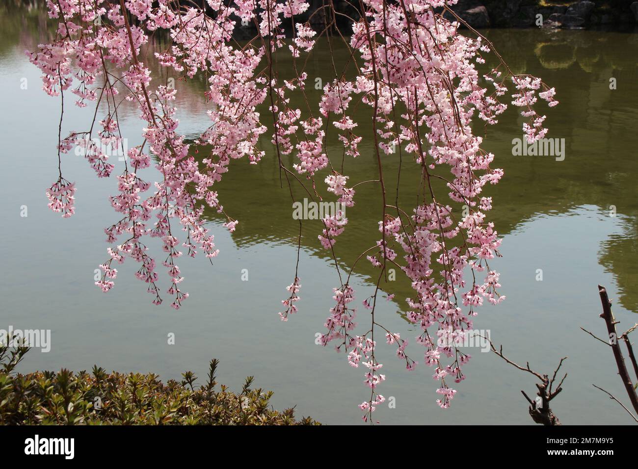 Heian sanctuaire hi-res stock photography and images - Alamy
